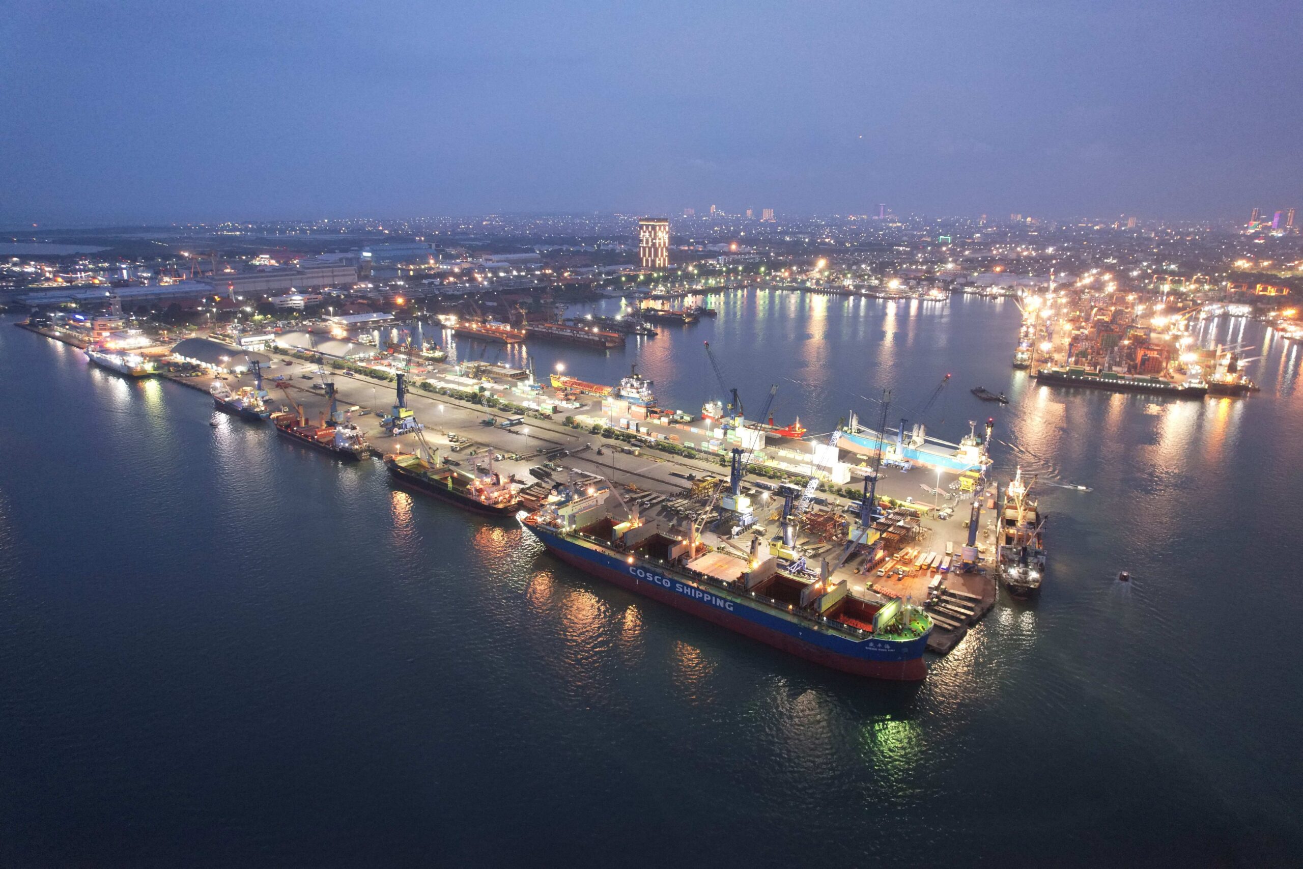 Pelindo Tangani 125 Juta Ton Barang Non Petikemas, 12,9 Juta TEUs – Ocean Week